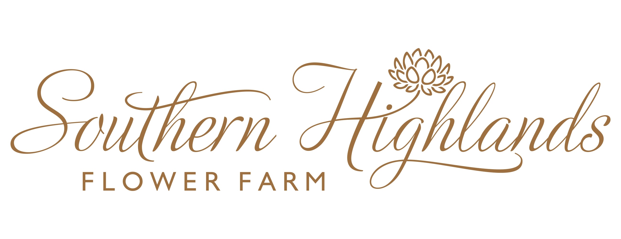 Experiences – Southern Highlands Flower Farm