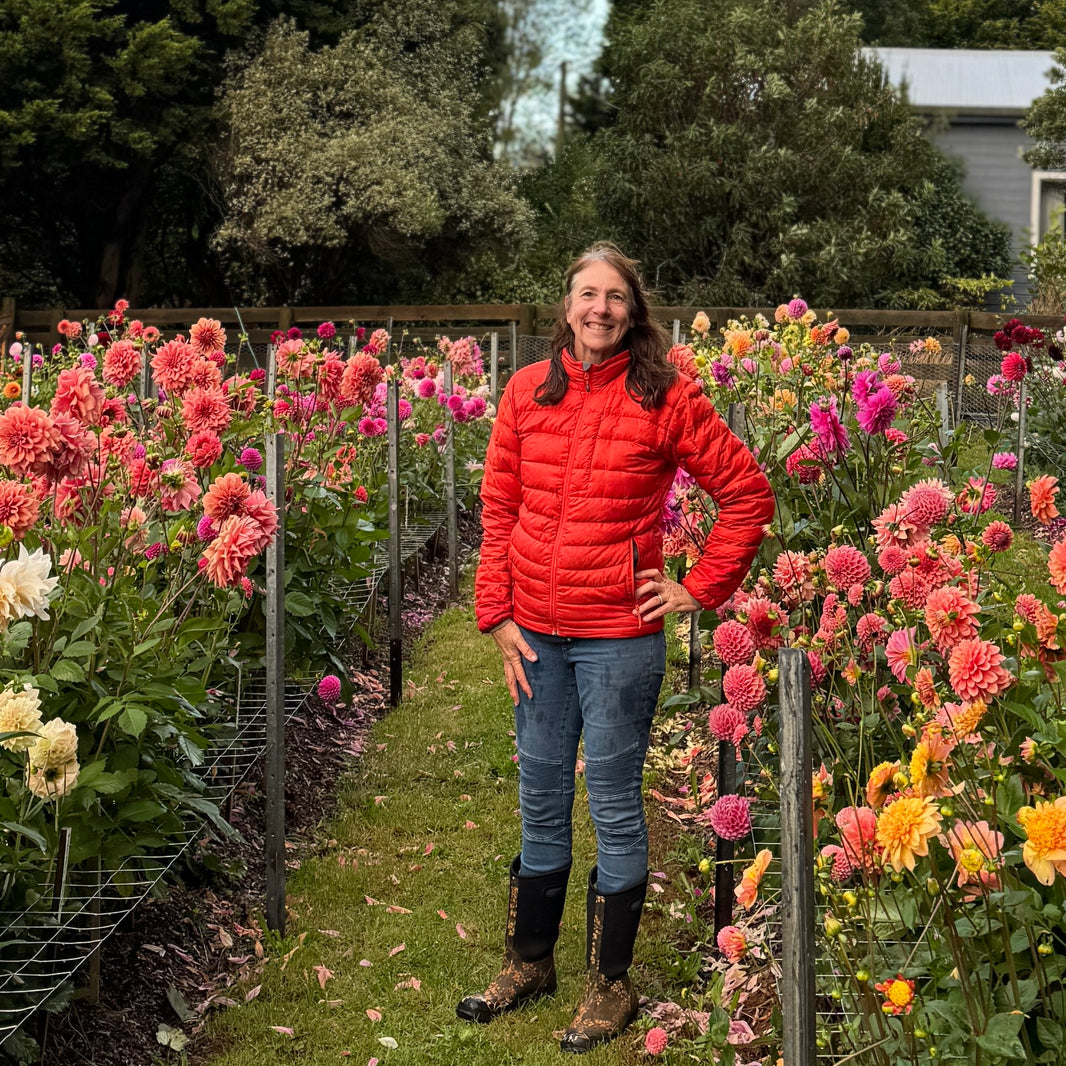Experiences – Southern Highlands Flower Farm