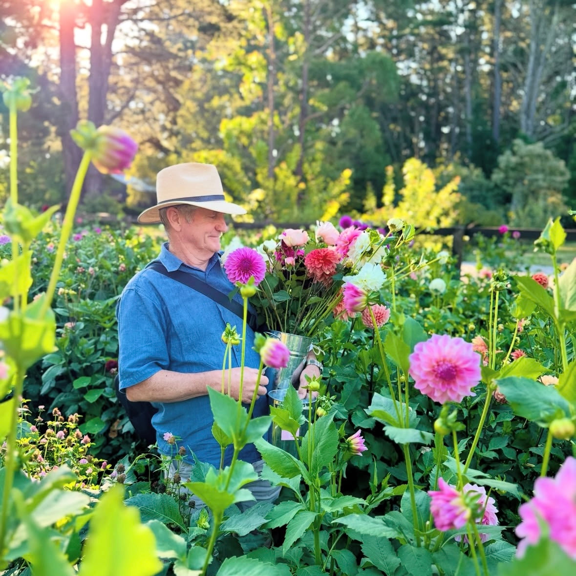 SATURDAY 28TH MAR - 'Golden Hour' Pick-Your-Own Bouquet Experience ...