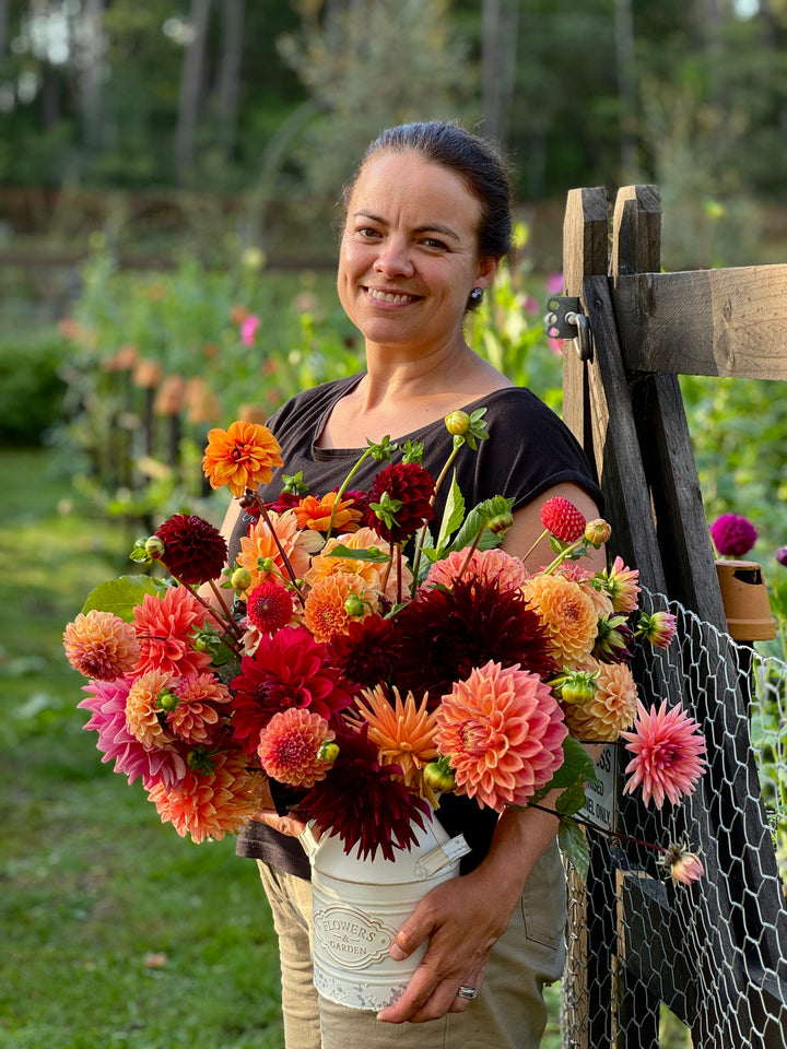 Experiences – Southern Highlands Flower Farm