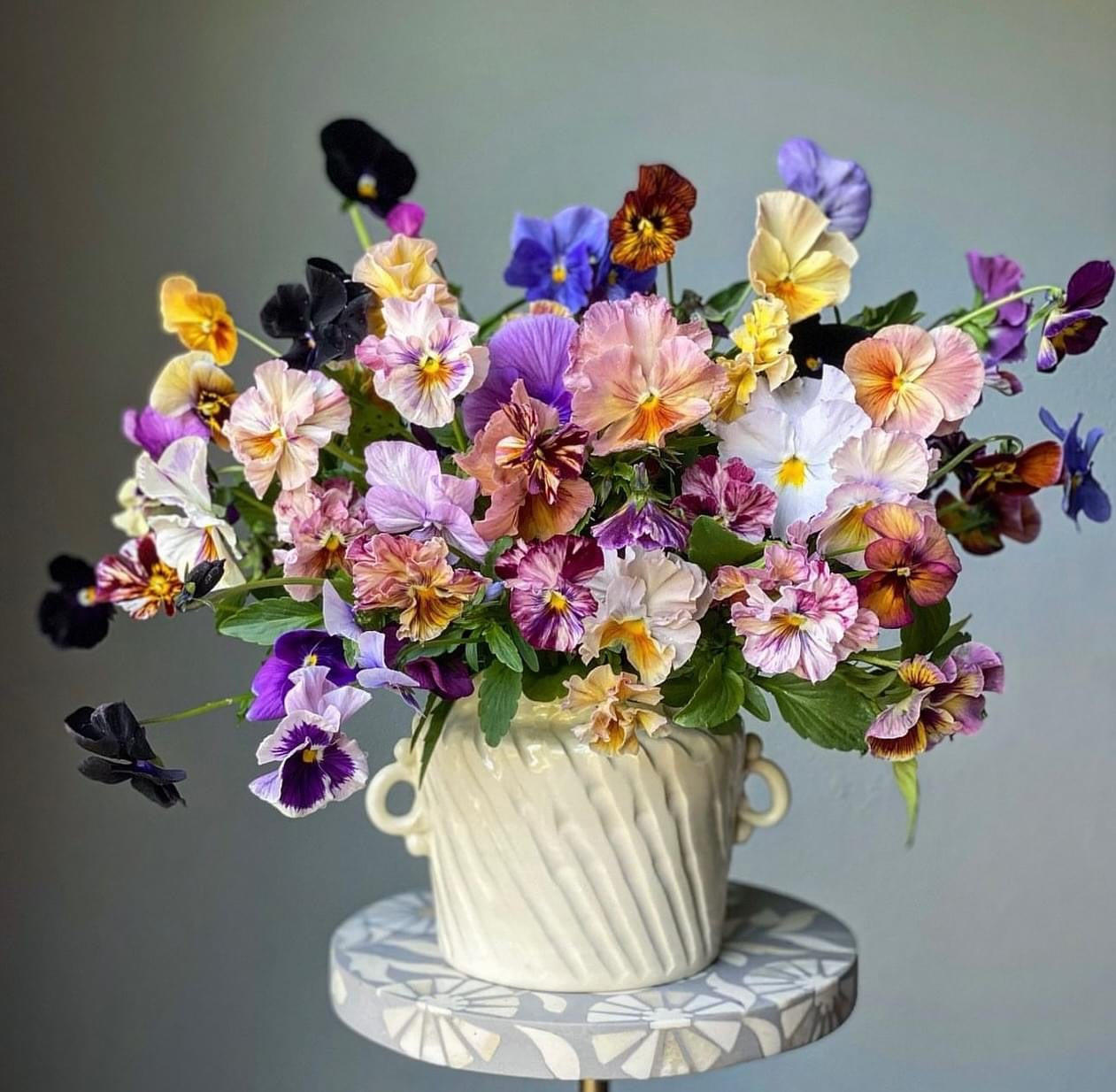 Pansy Project – Southern Highlands Flower Farm