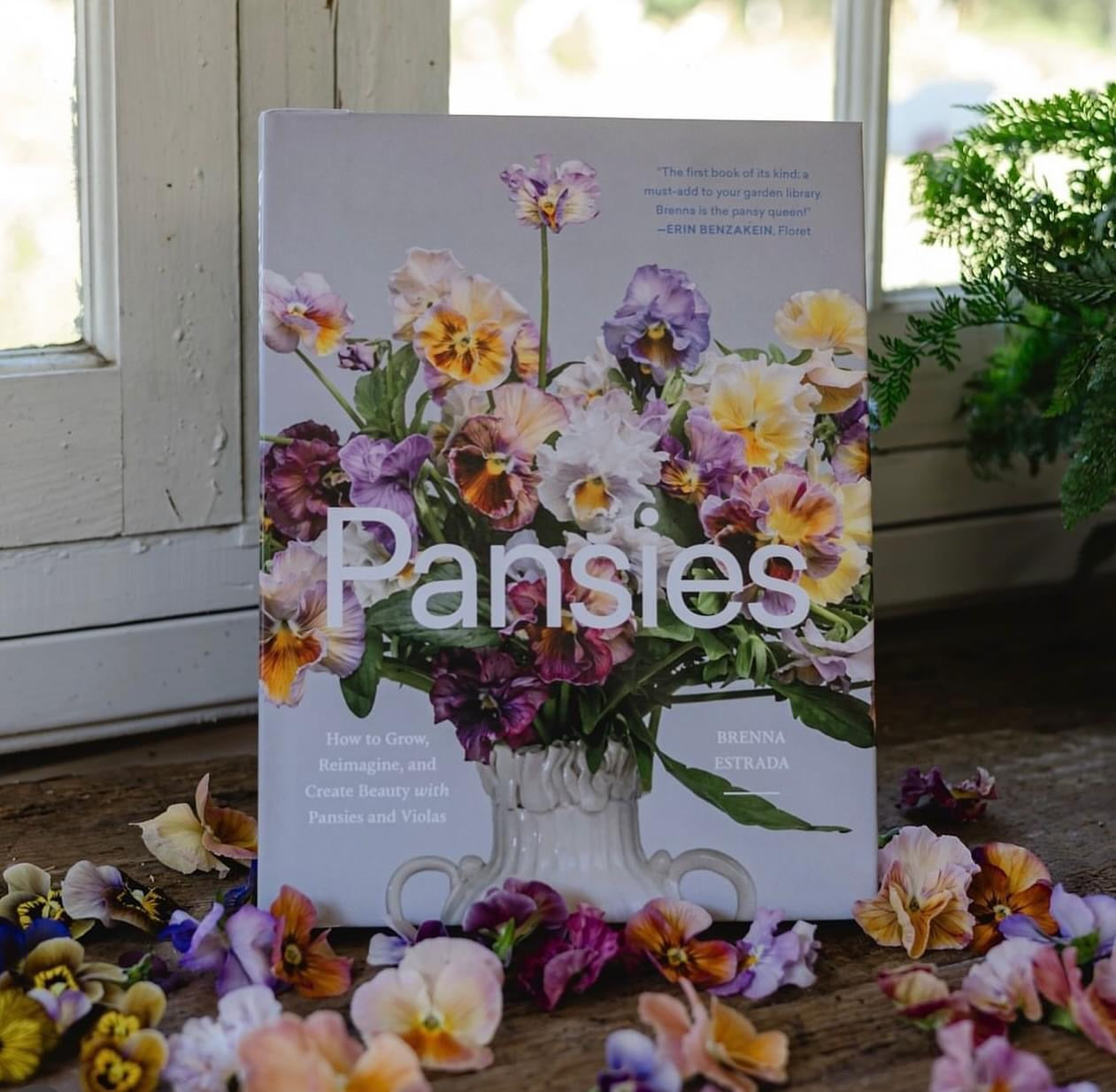 Pansy Project – Southern Highlands Flower Farm