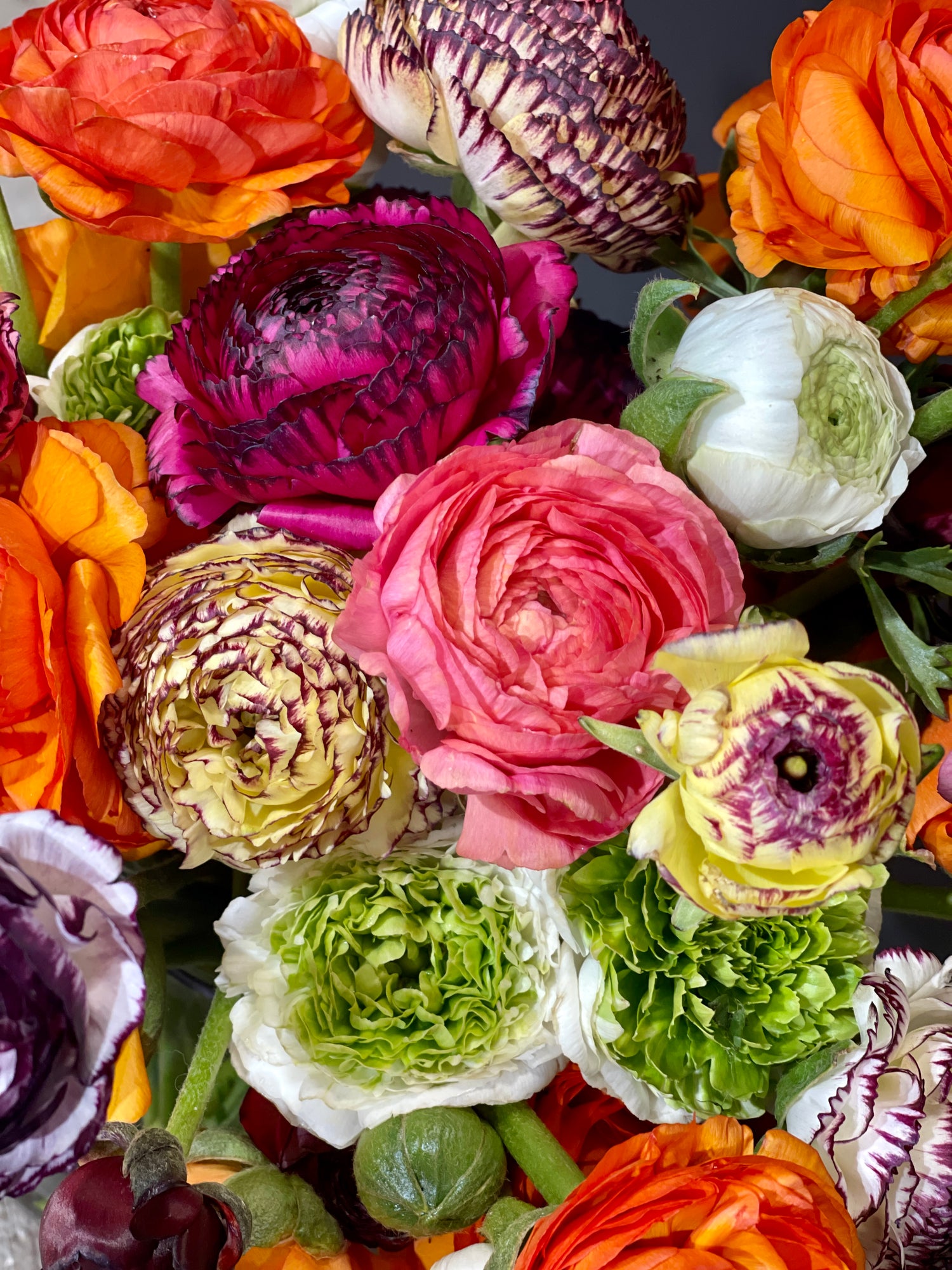 My Ranunculus Collection – Southern Highlands Flower Farm