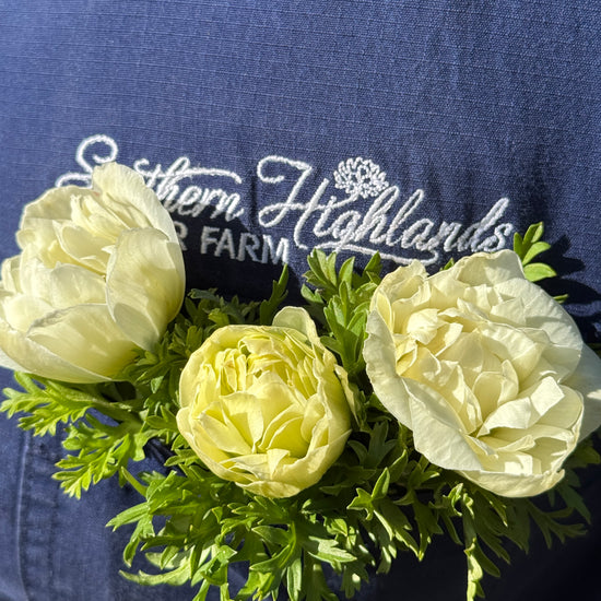 Italian Anemone 'Levante' Mix - 5 CORMS – Southern Highlands Flower Farm