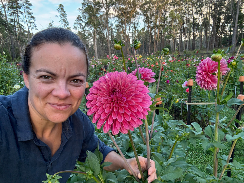 Florelie Candice – Southern Highlands Flower Farm
